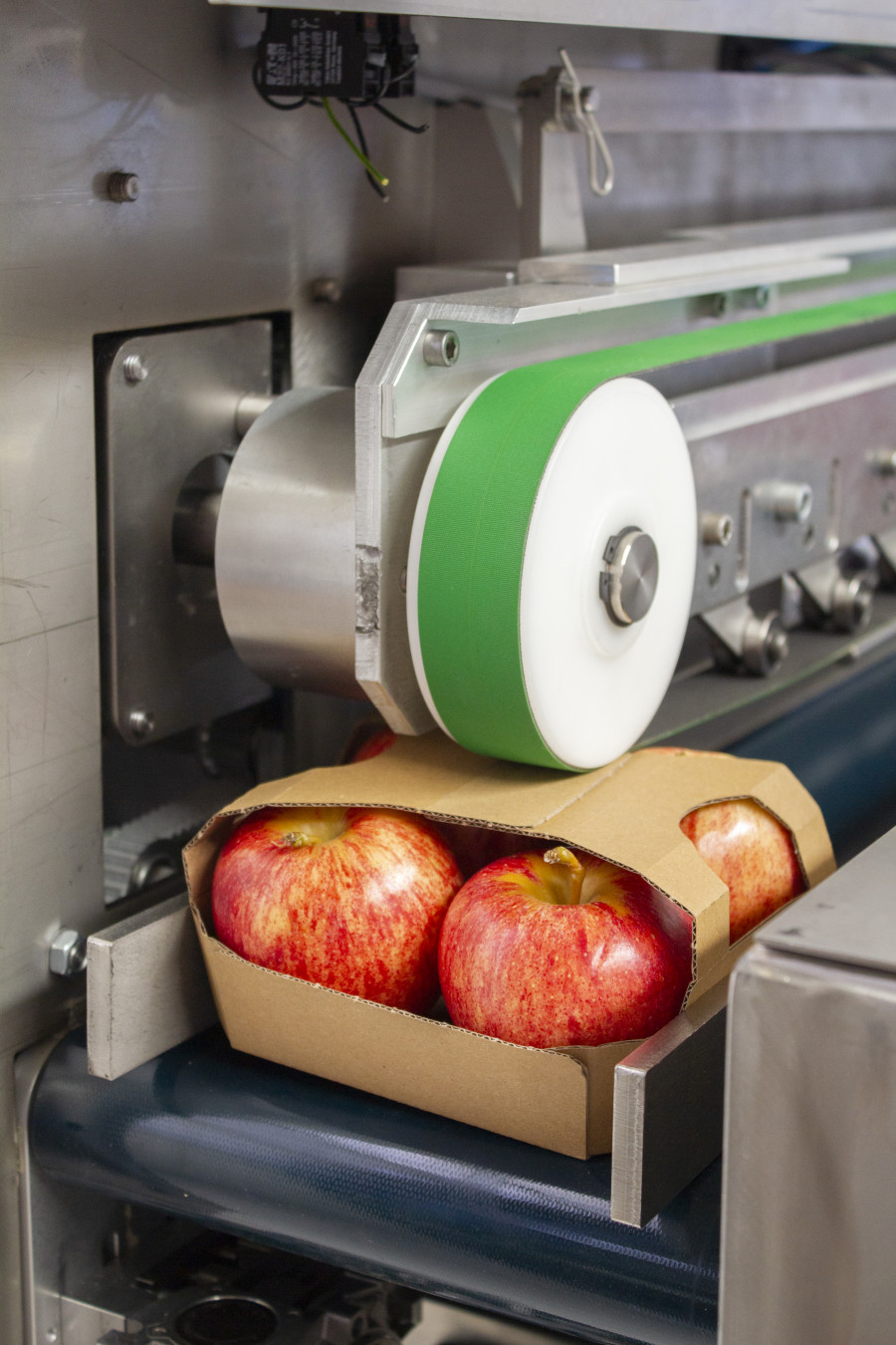 SIKA fruit | silcoplan